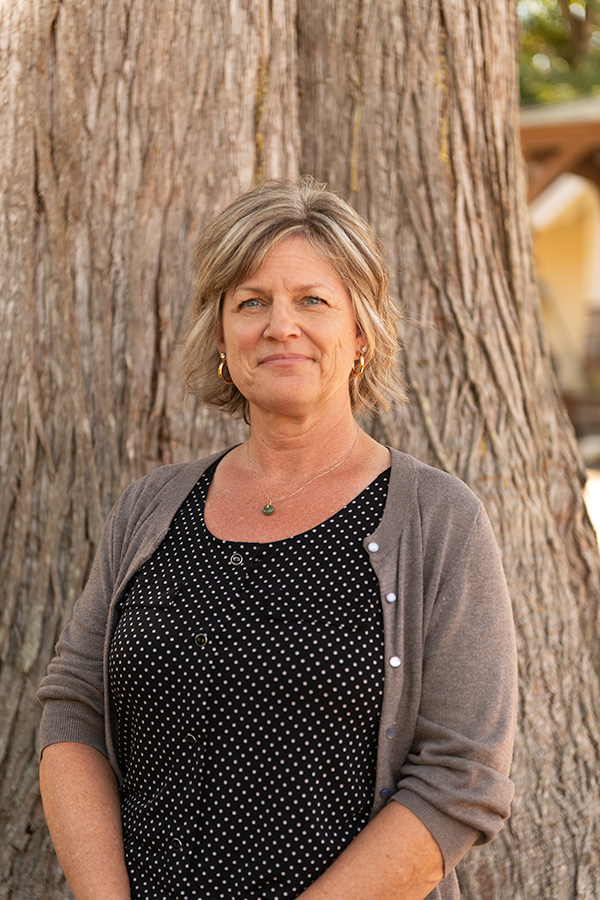 Zorko Electric - Always On